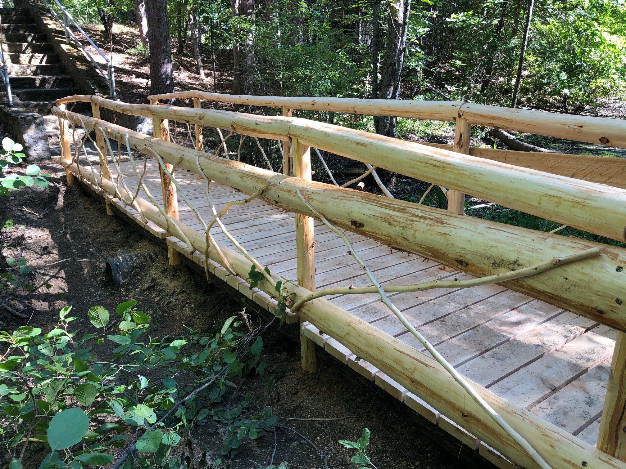 Fall Update 2020! – Camp Caribou