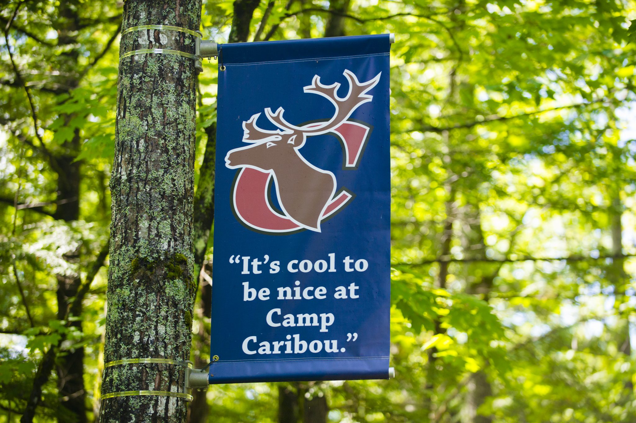Dates & Rates – Camp Caribou